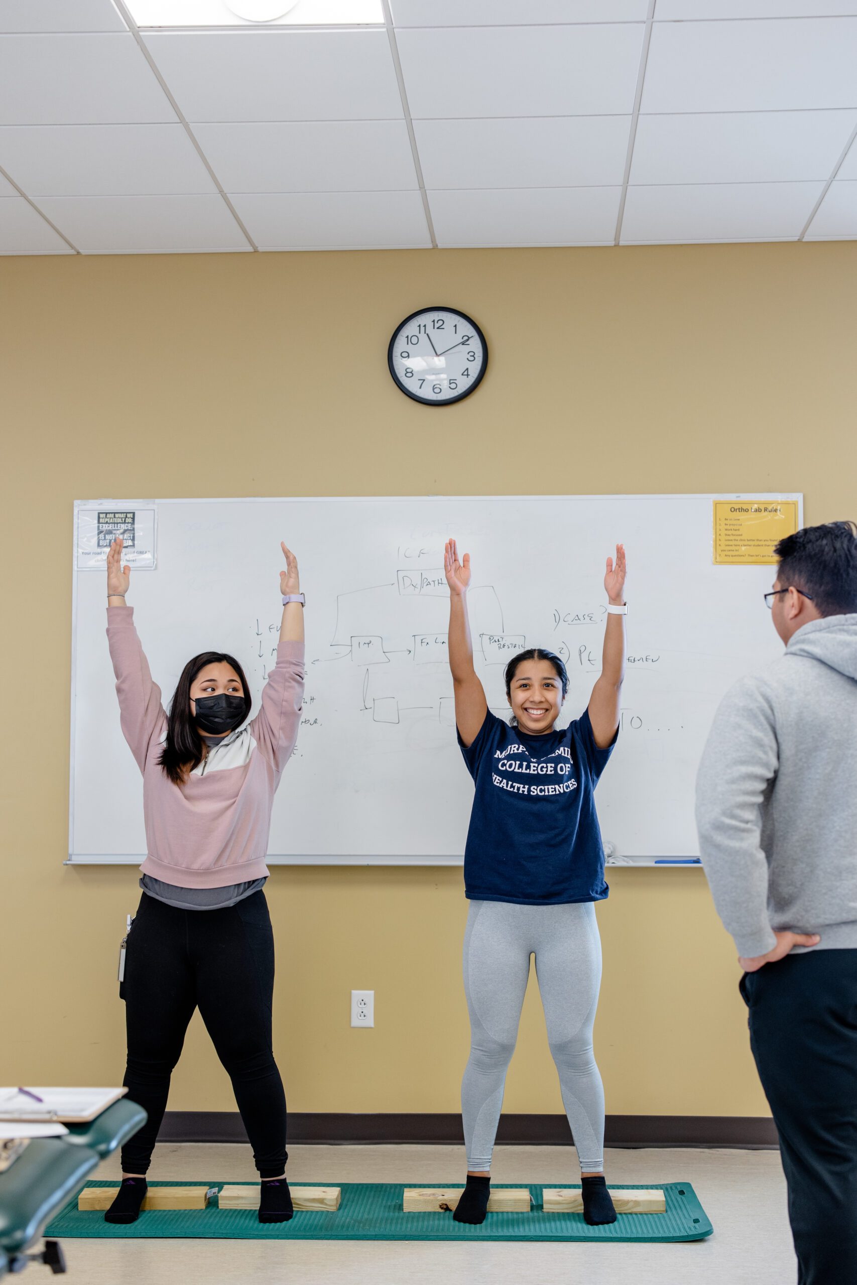 Physical Therapy (DPT) — Mary Baldwin University