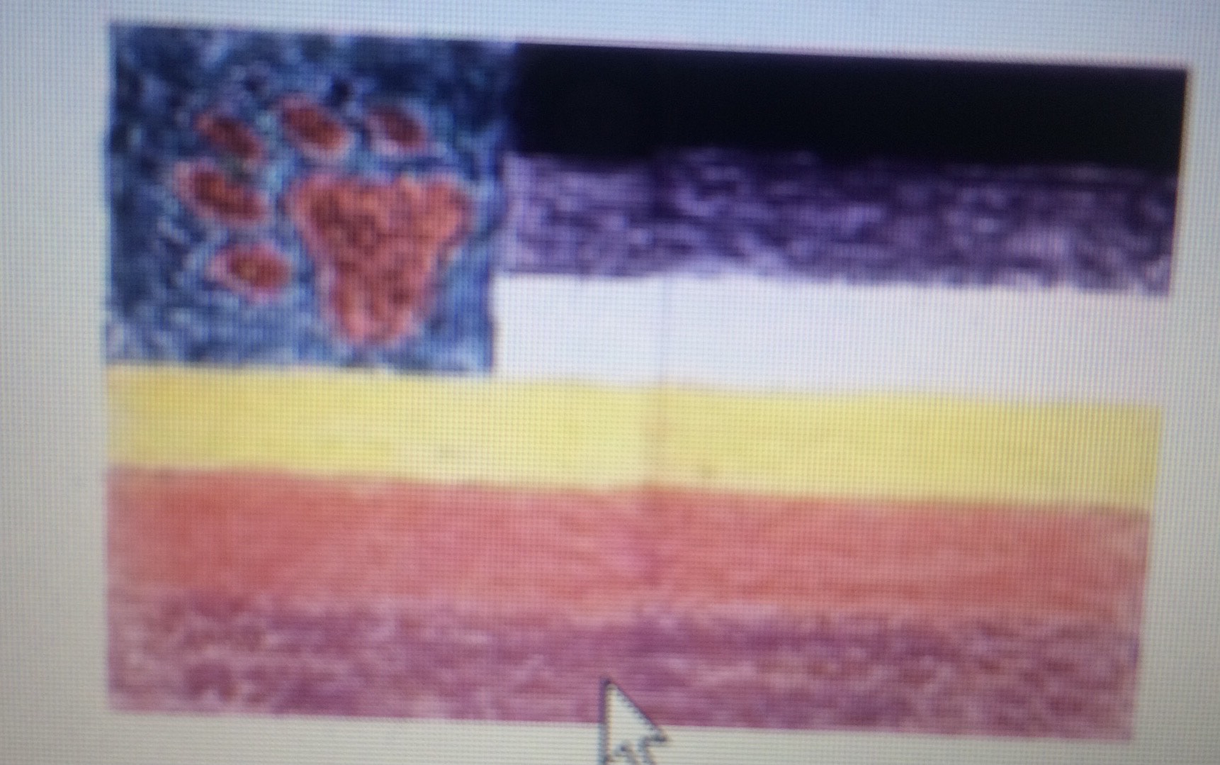 Hidden History: How MBU Helped Invent an International Gay Pride Flag ...