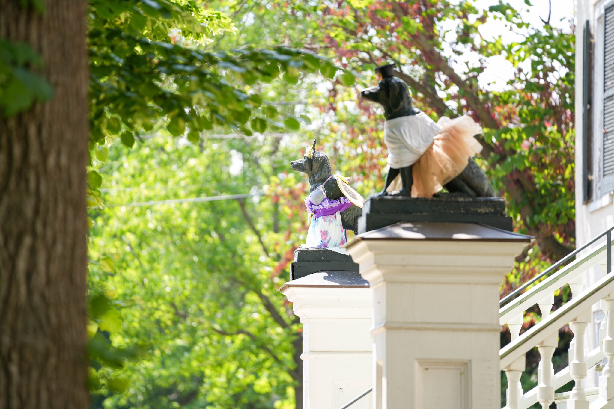 Mary Baldwin University - Staunton, VA and Online Programs